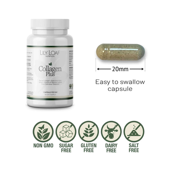 Collagen Plus | Skin & Joint Support | Lily & Loaf Trade